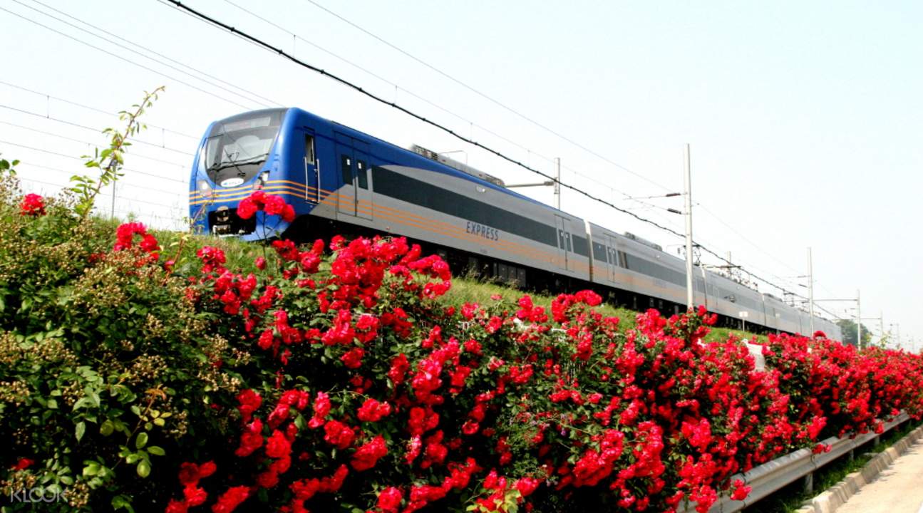 Buy AREX Incheon Airport Express Train, Seoul One Way Ticket Online - Klook